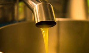 From fleece to grease: The production of lanolin - LanisLanolin